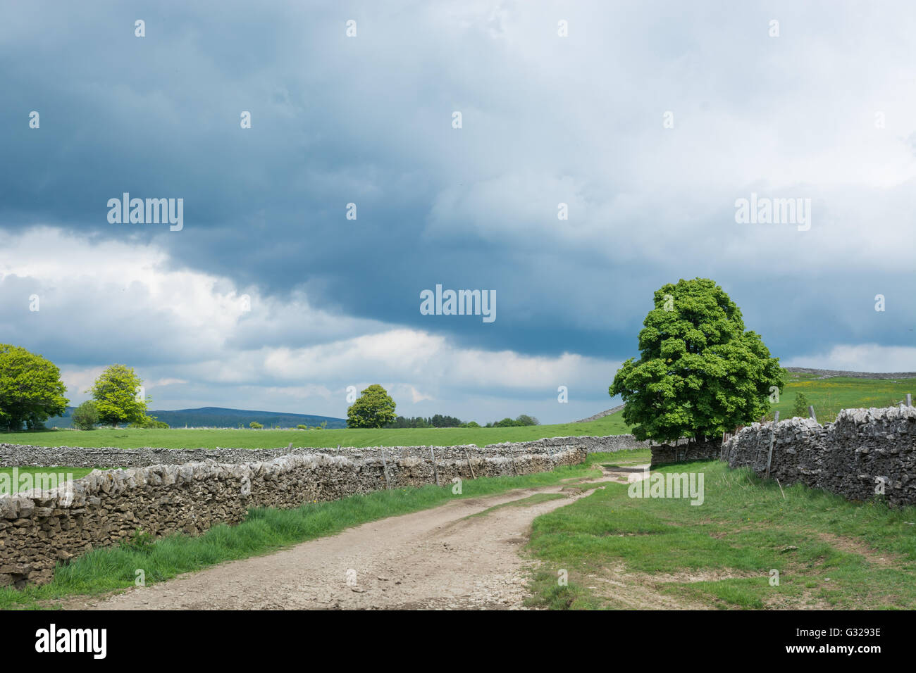 Farm track and drystone walls in Wensleydale Stock Photo - Alamy