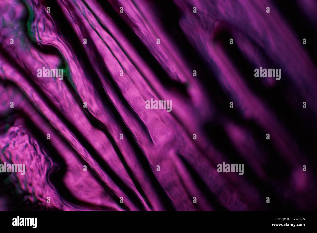 Glass texture back illuminated, macro of abstract glass texture Stock ...