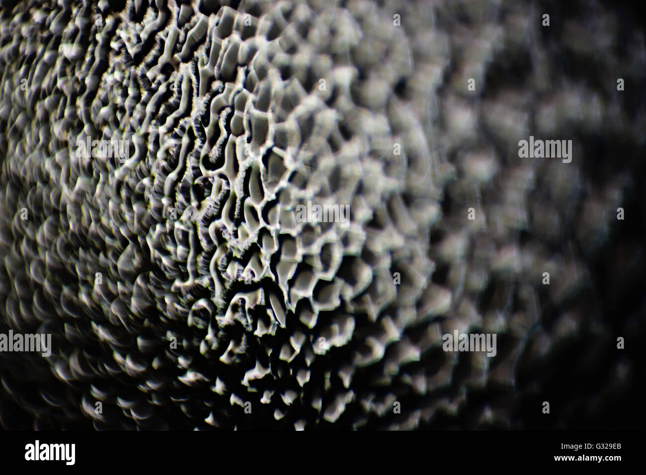 glossy glass texture and luxury background Stock Photo - Alamy