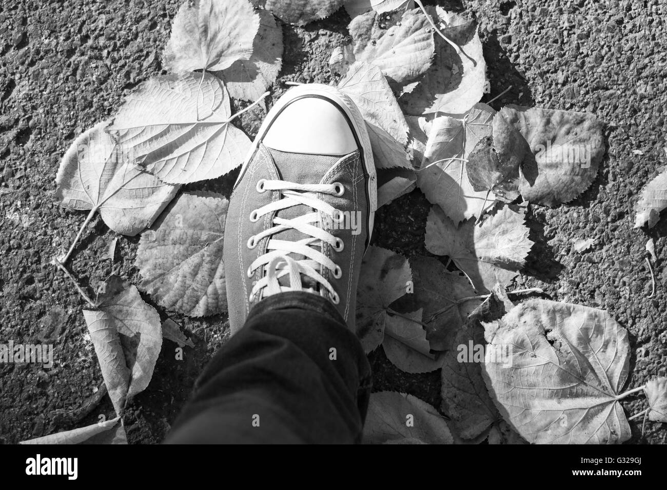 Top View of Man Standing in dry autumn leaves, entering the fall season ...