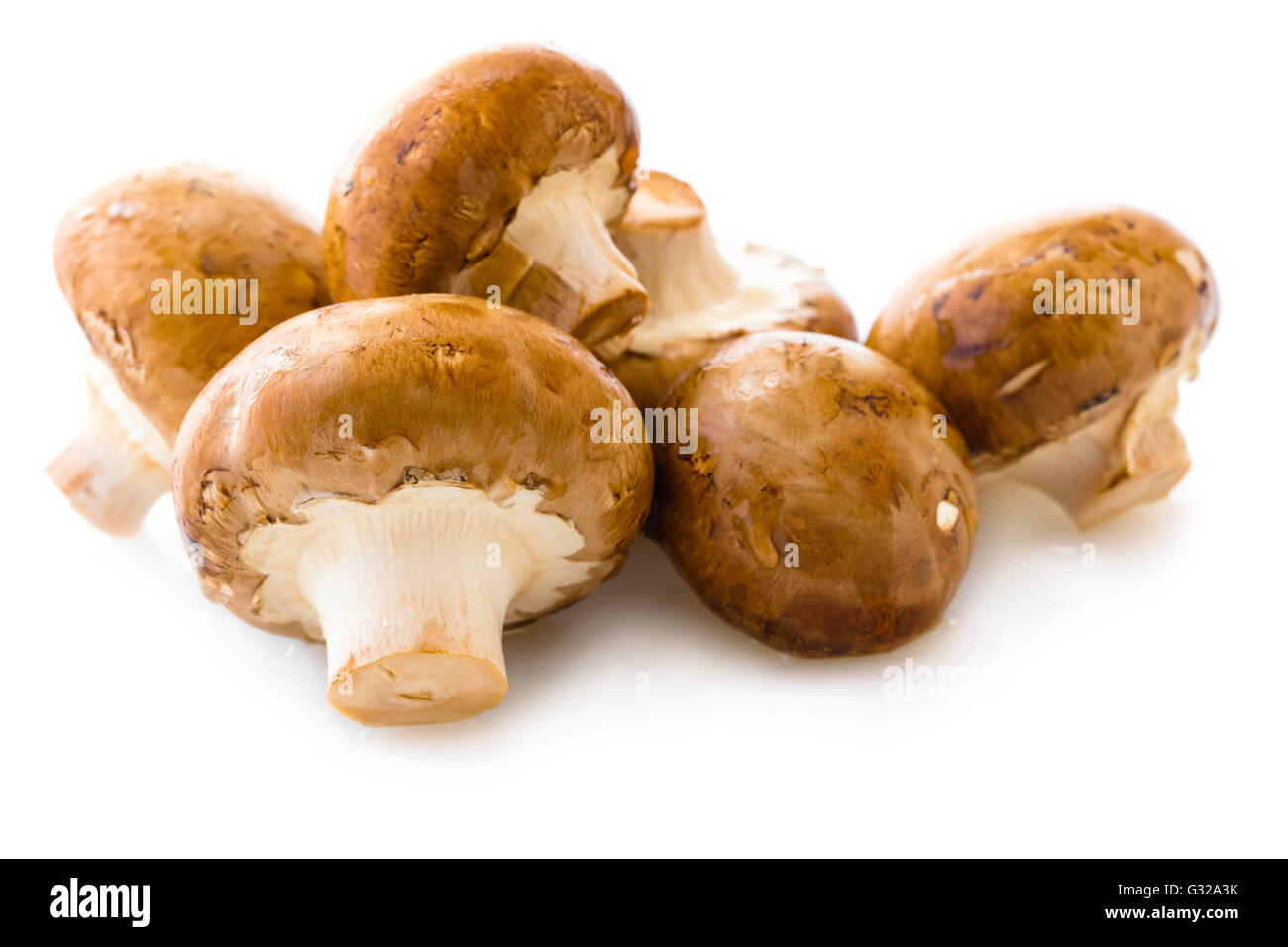 natural mushrooms champignons isolated on white background Stock Photo ...