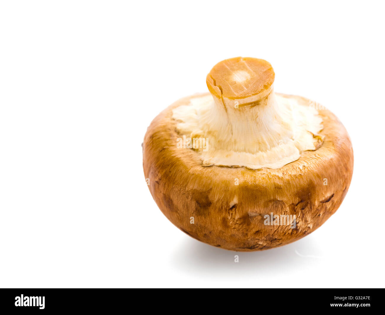 natural mushrooms champignons isolated on white background Stock Photo ...