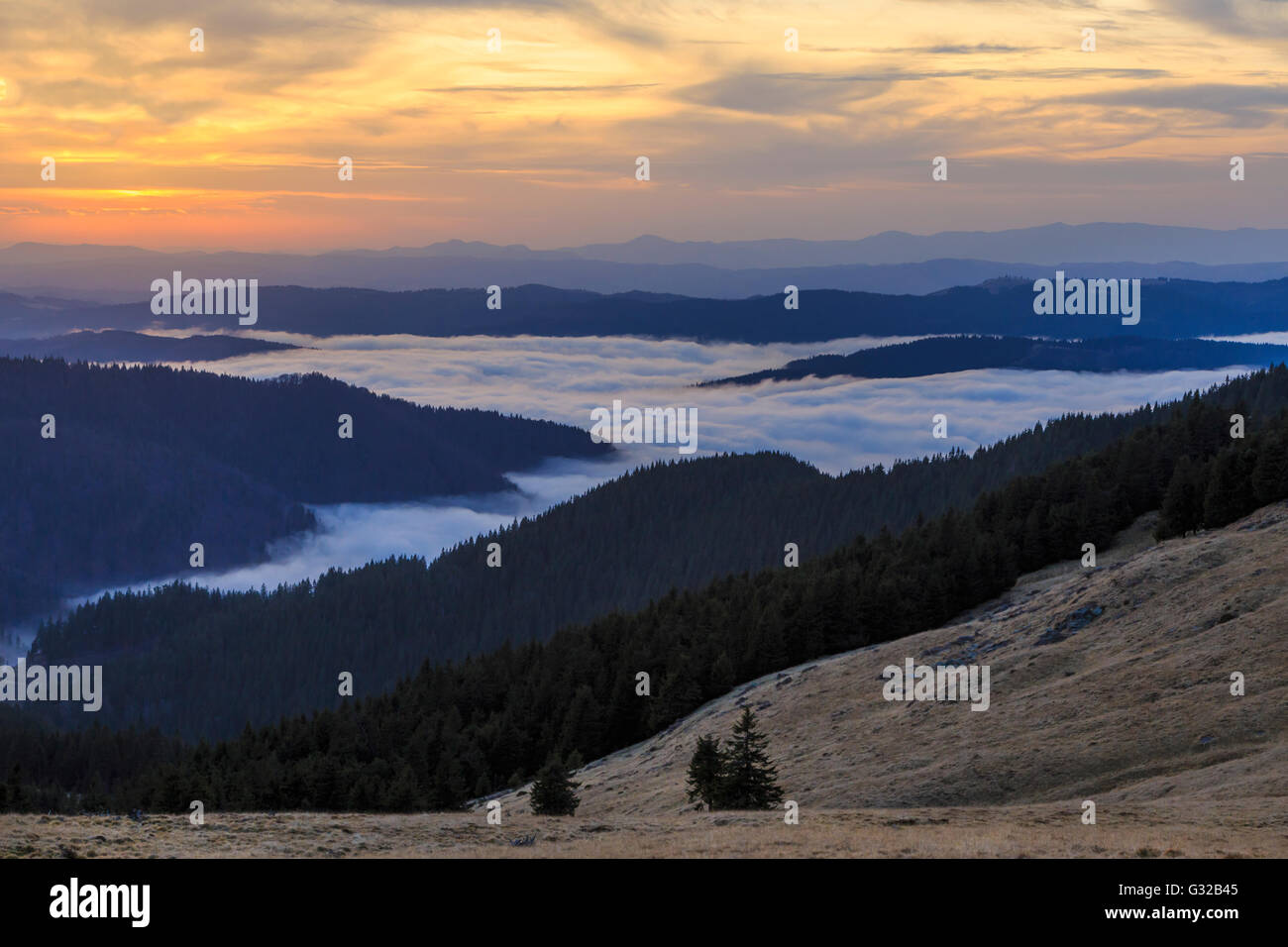 From mountainside meadow with forest and clouds in sunset Stock Photo ...