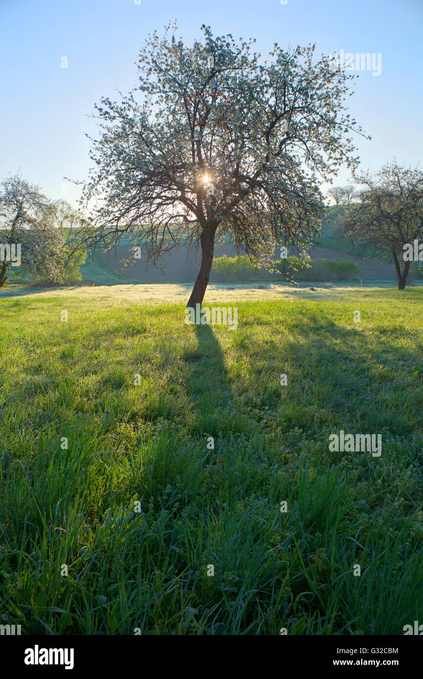 Spot lighting hi-res stock photography and images - Alamy
