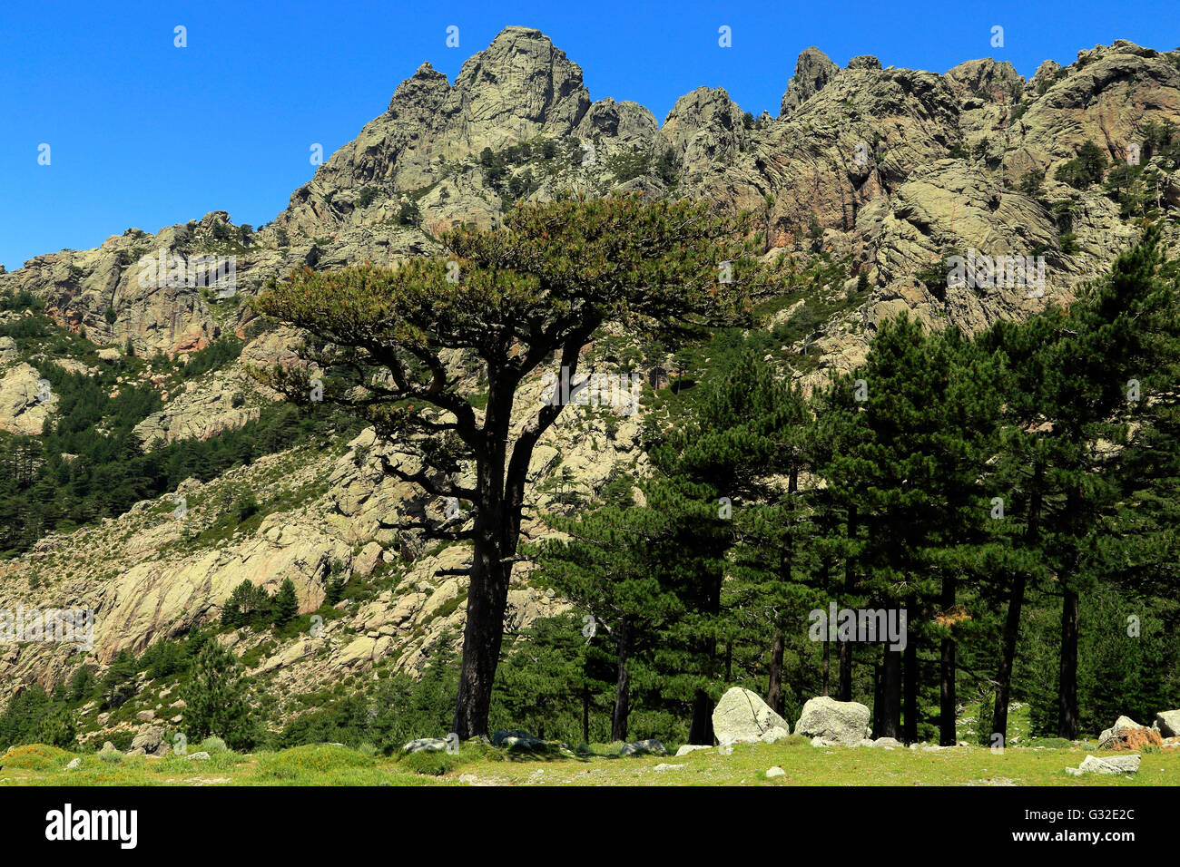 The needle-like summits of Bavella in Corsica, Alta-Rocca, France Stock ...