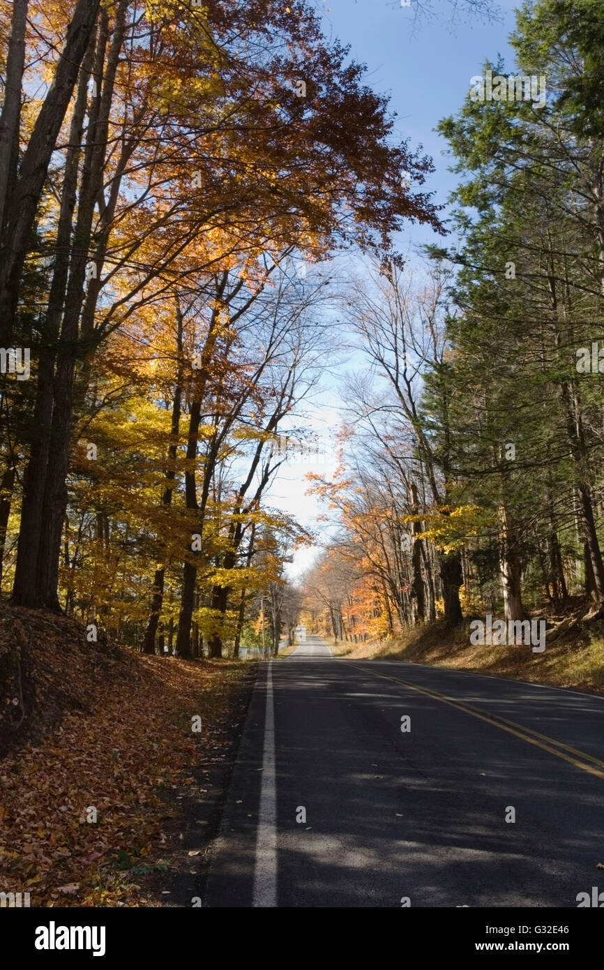 L ny a hi-res stock photography and images - Alamy