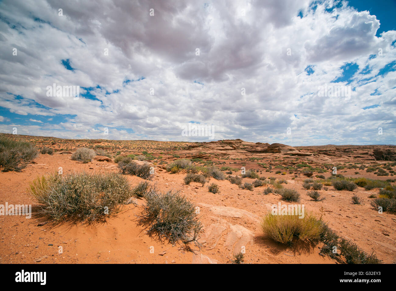 Brush grows in Arizona high desert in southwest United States Stock ...