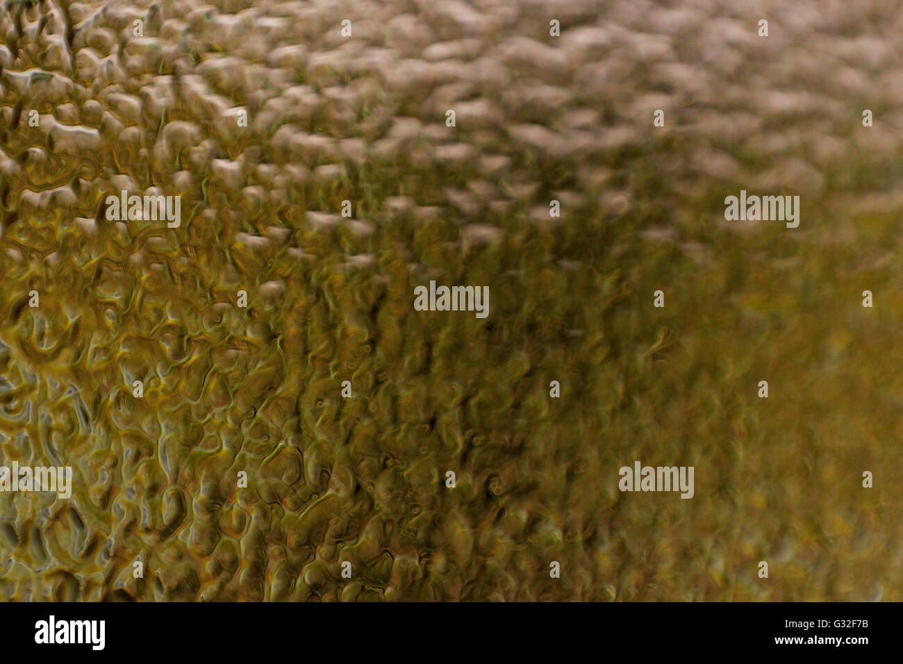 Glass texture back illuminated, macro of abstract glass texture Stock ...