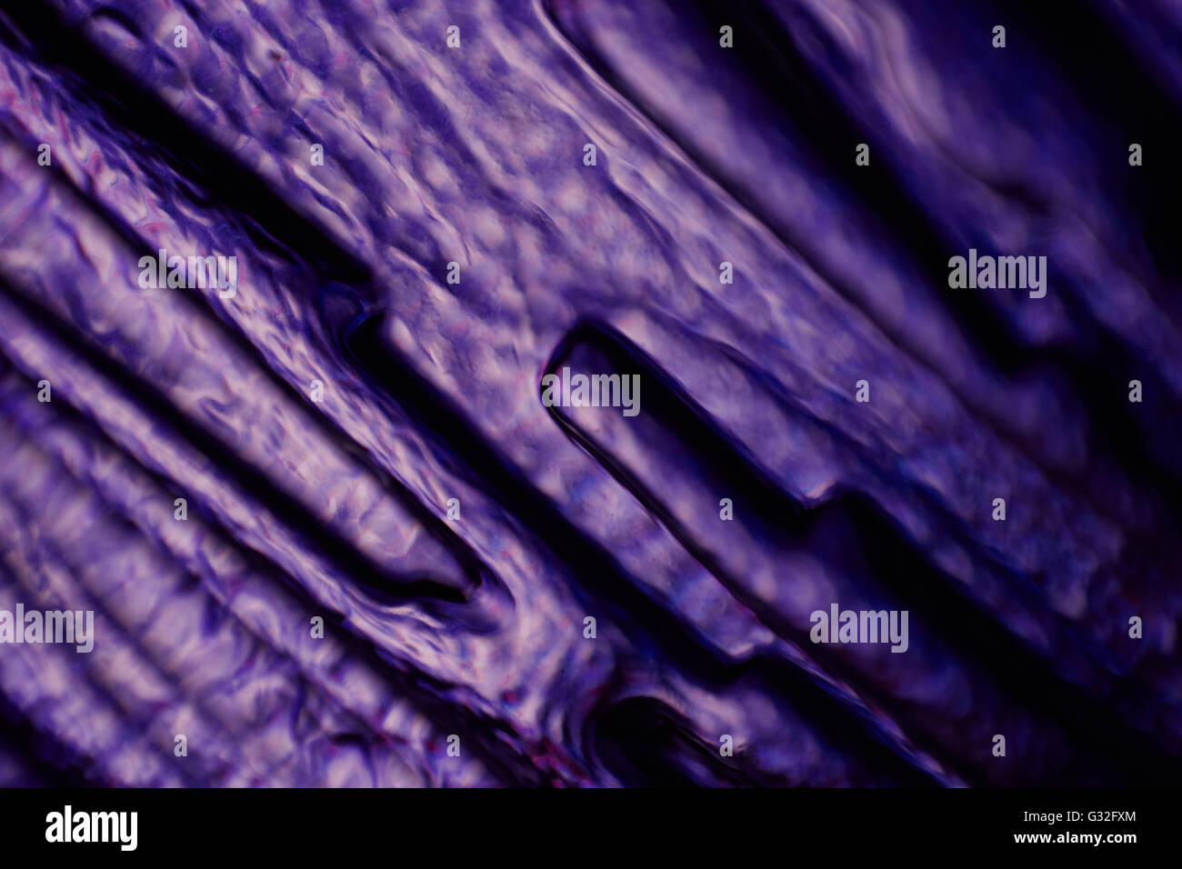 stained glass surface Stock Photo - Alamy