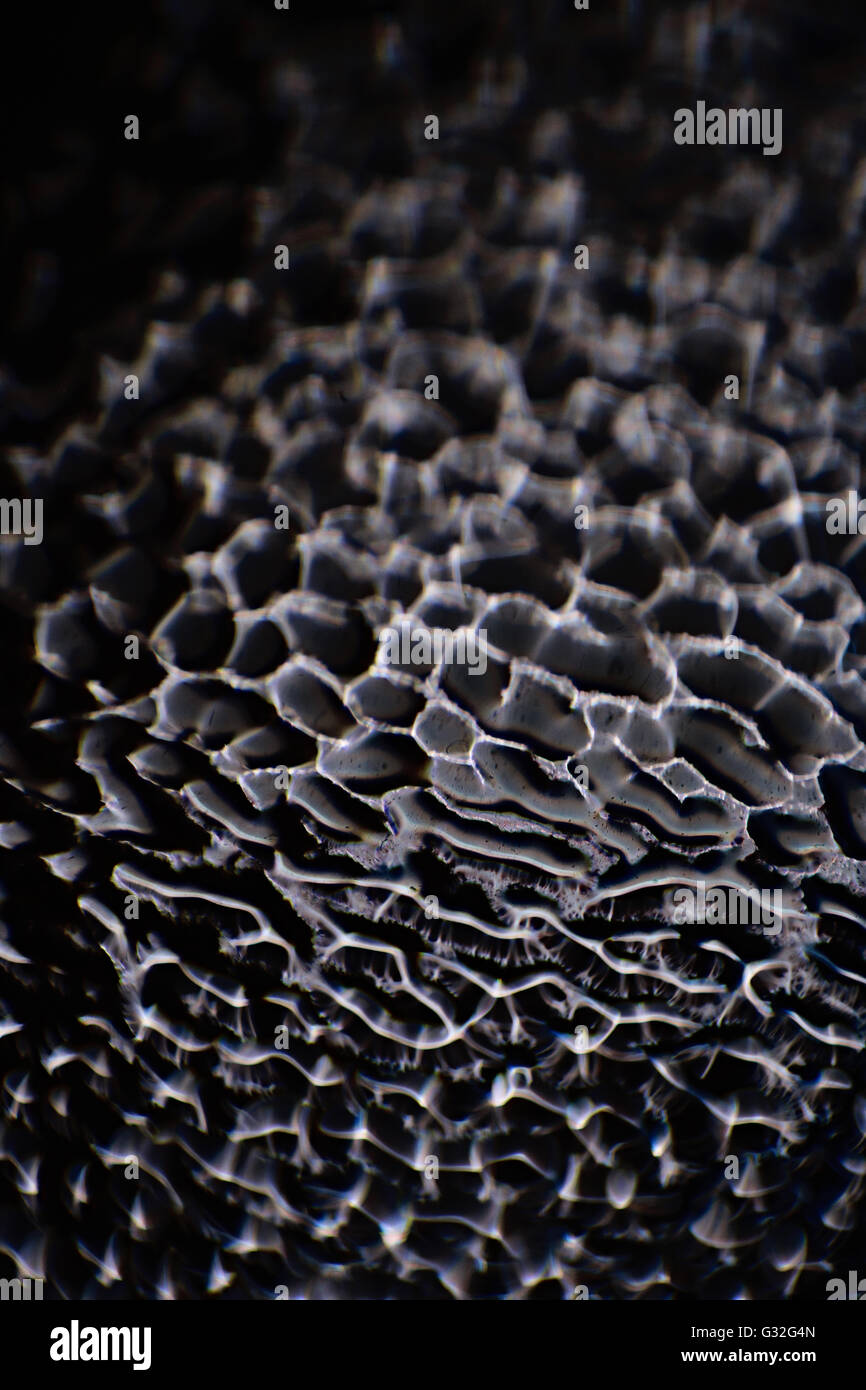 glossy glass texture and luxury background Stock Photo - Alamy