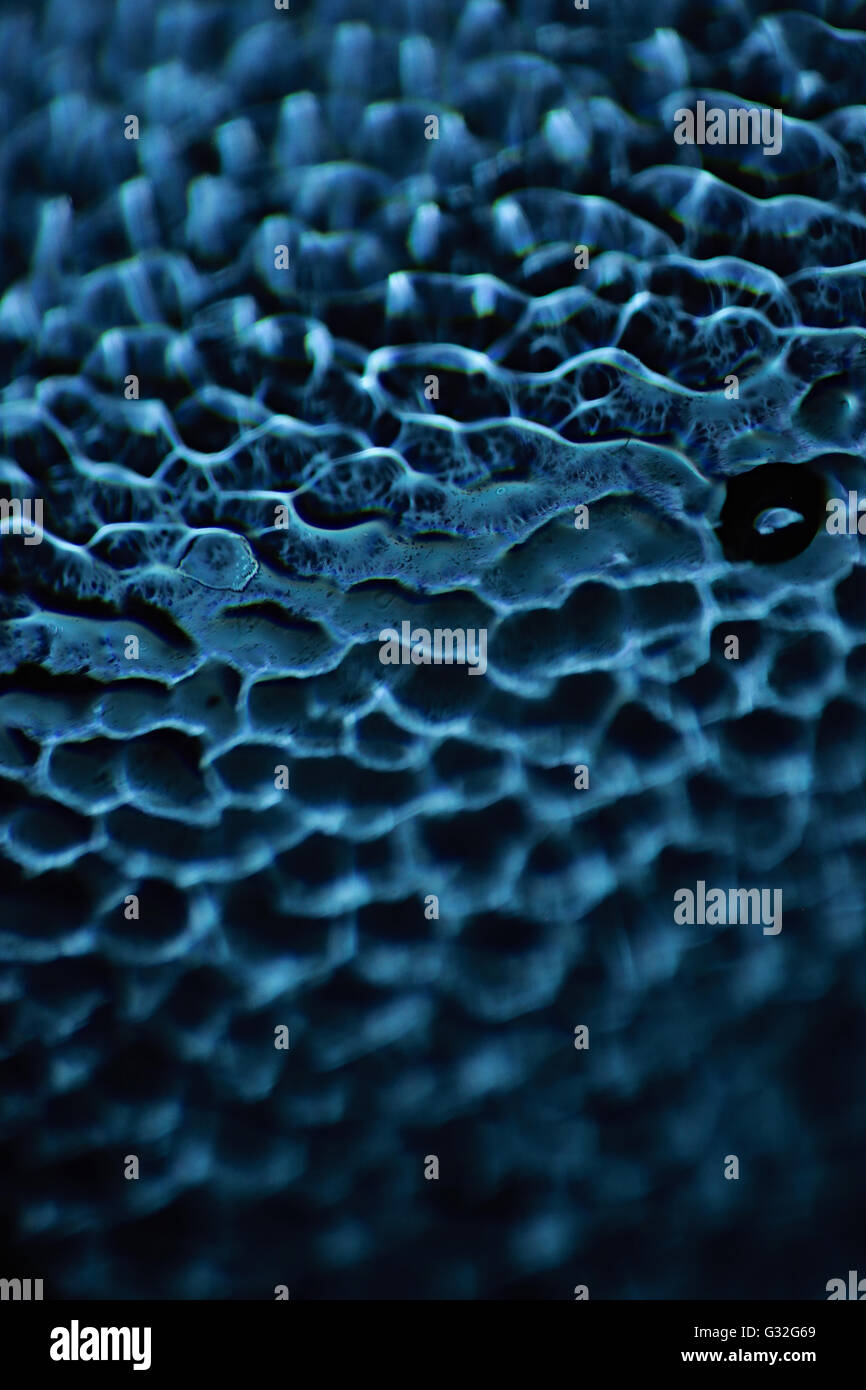 Glass texture back illuminated Stock Photo - Alamy