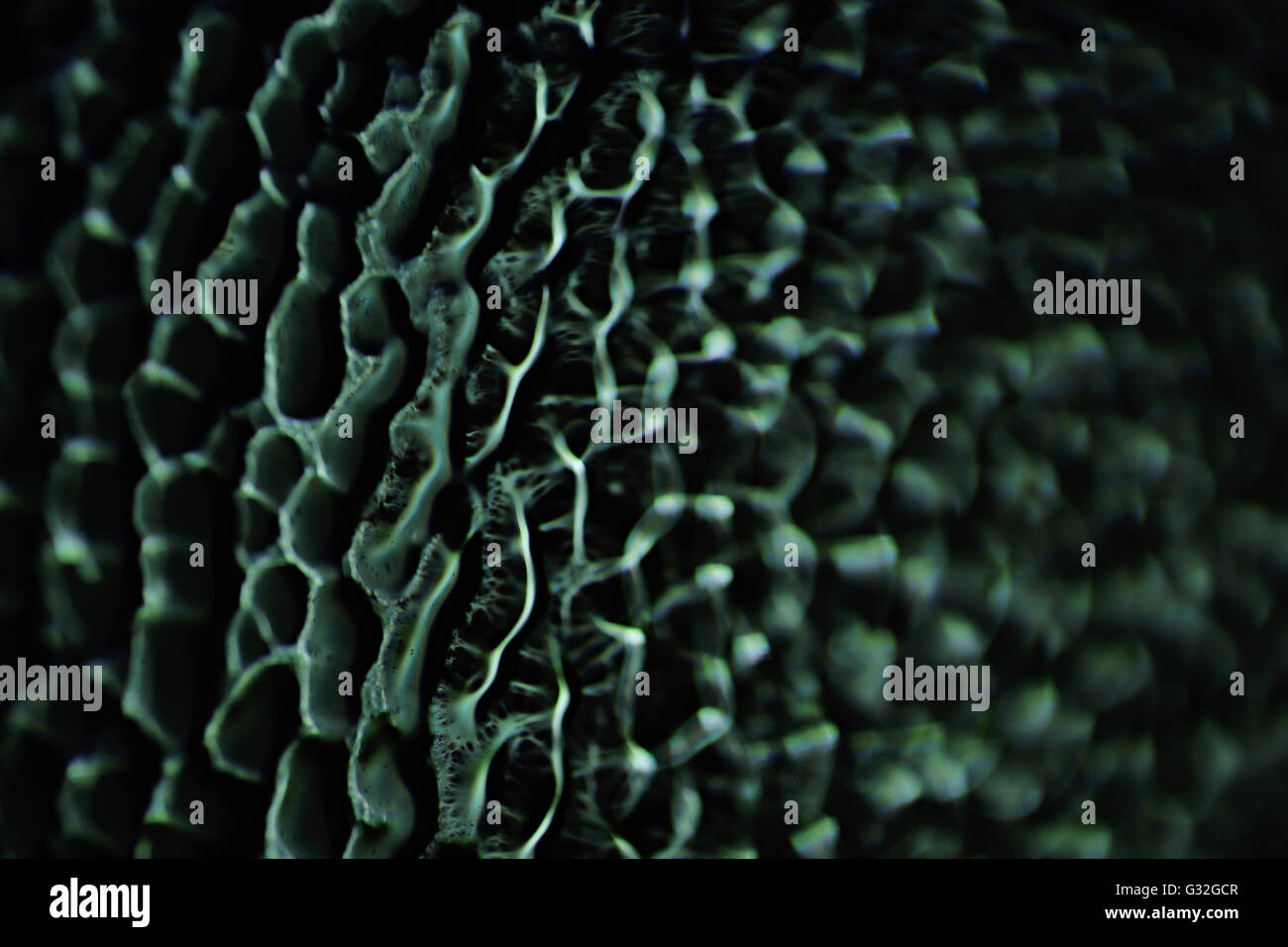 Glass texture back illuminated, macro of abstract glass texture Stock ...