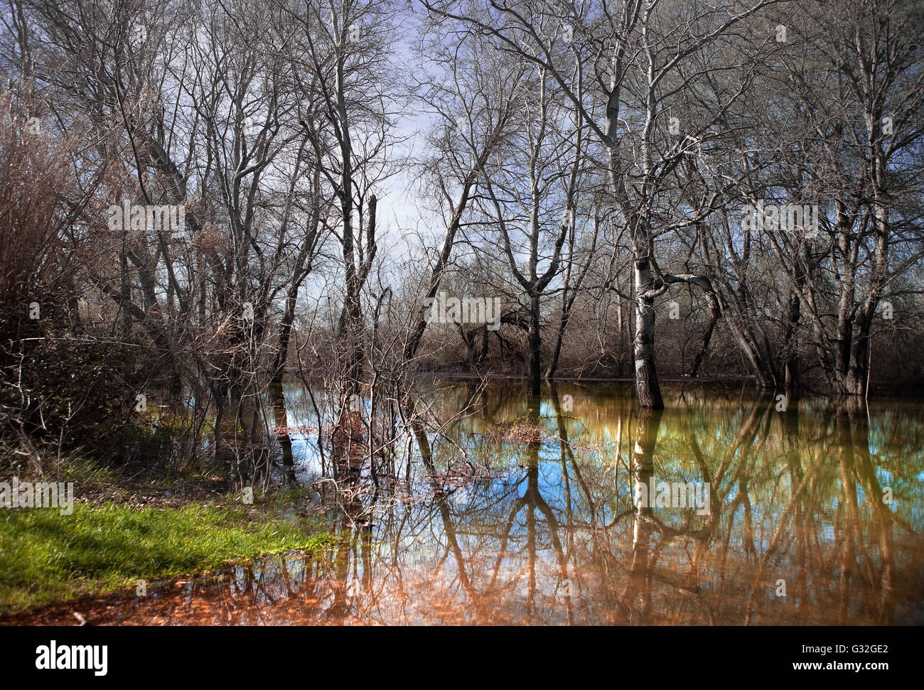 water scenery and dry trees Stock Photo - Alamy