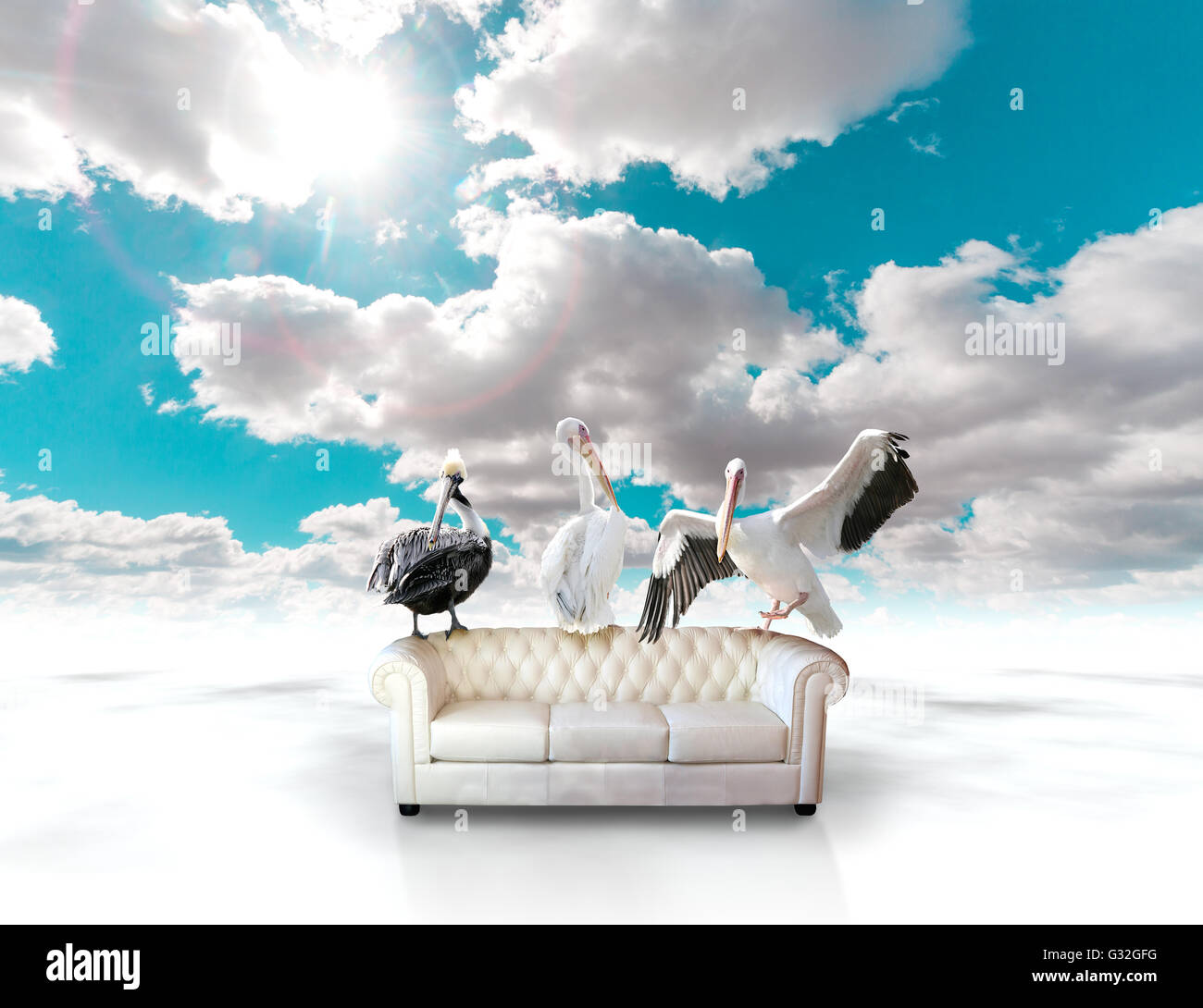 Nature design sofa hi-res stock photography and images - Alamy