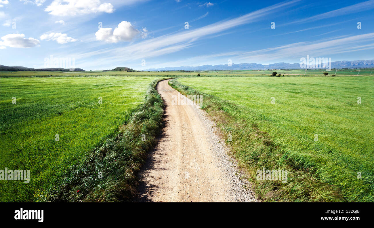 Beautiful fields landscape green hi-res stock photography and images ...