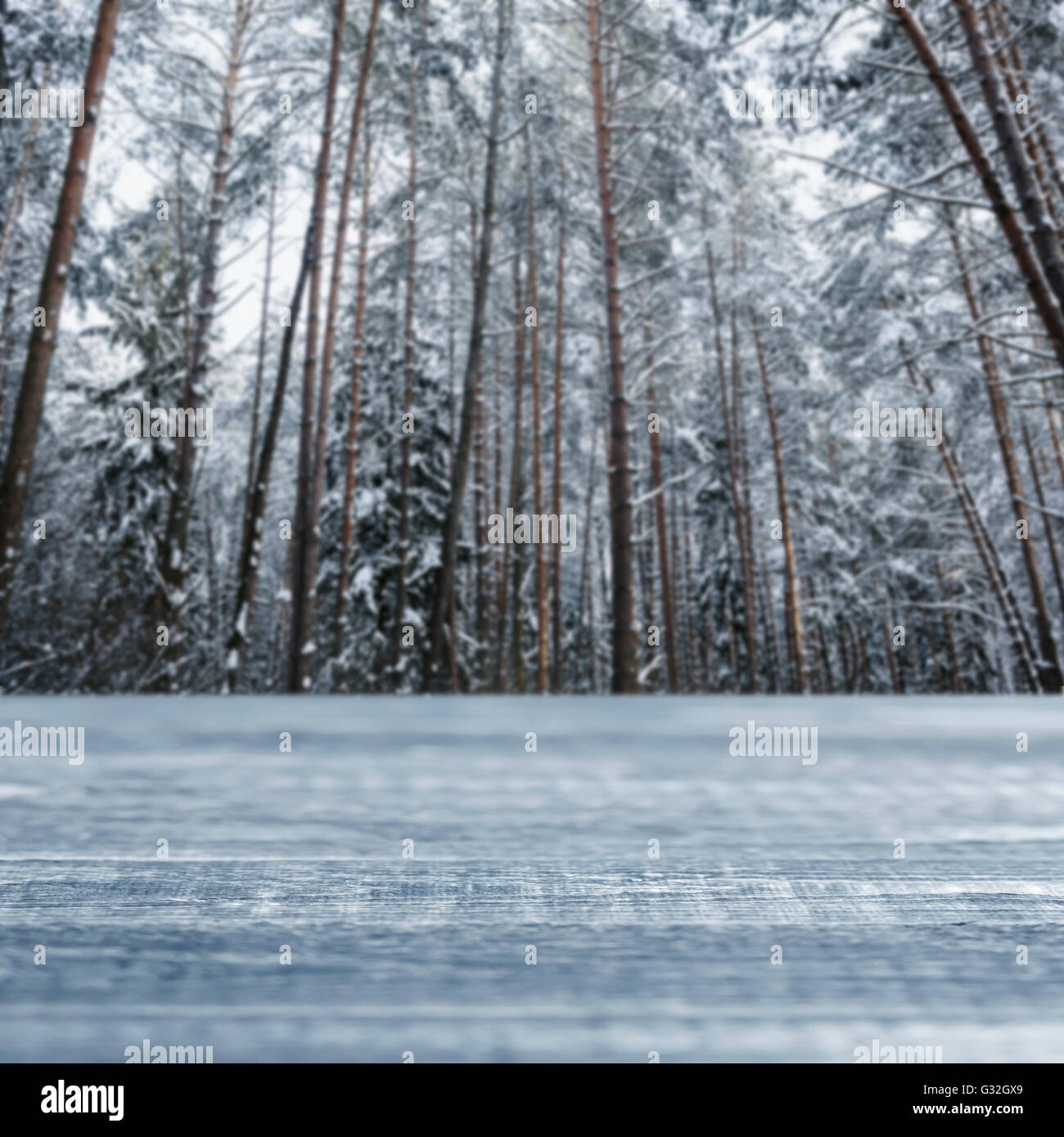 Perspective blurry winter background with forest Stock Photo - Alamy