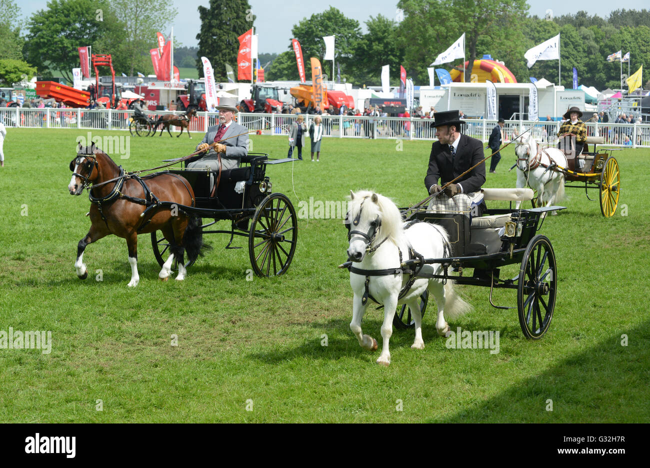 Man driving horse and rig British Driving Society Show Staffordshire ...