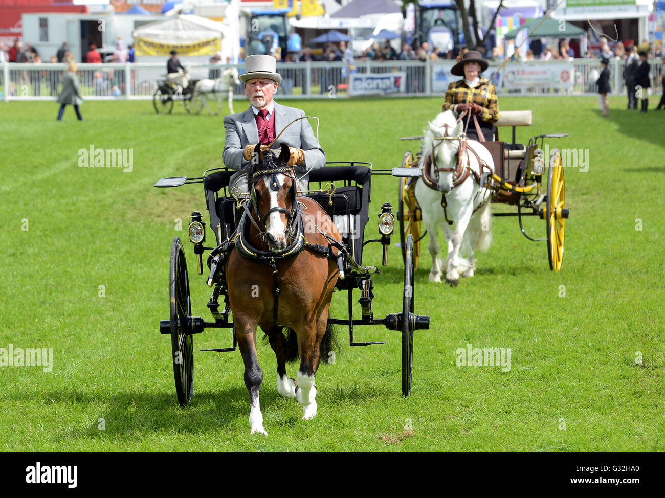 Man driving horse and rig British Driving Society Show Staffordshire ...