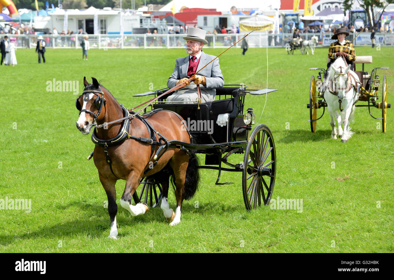 Man driving horse and rig British Driving Society Show Staffordshire ...