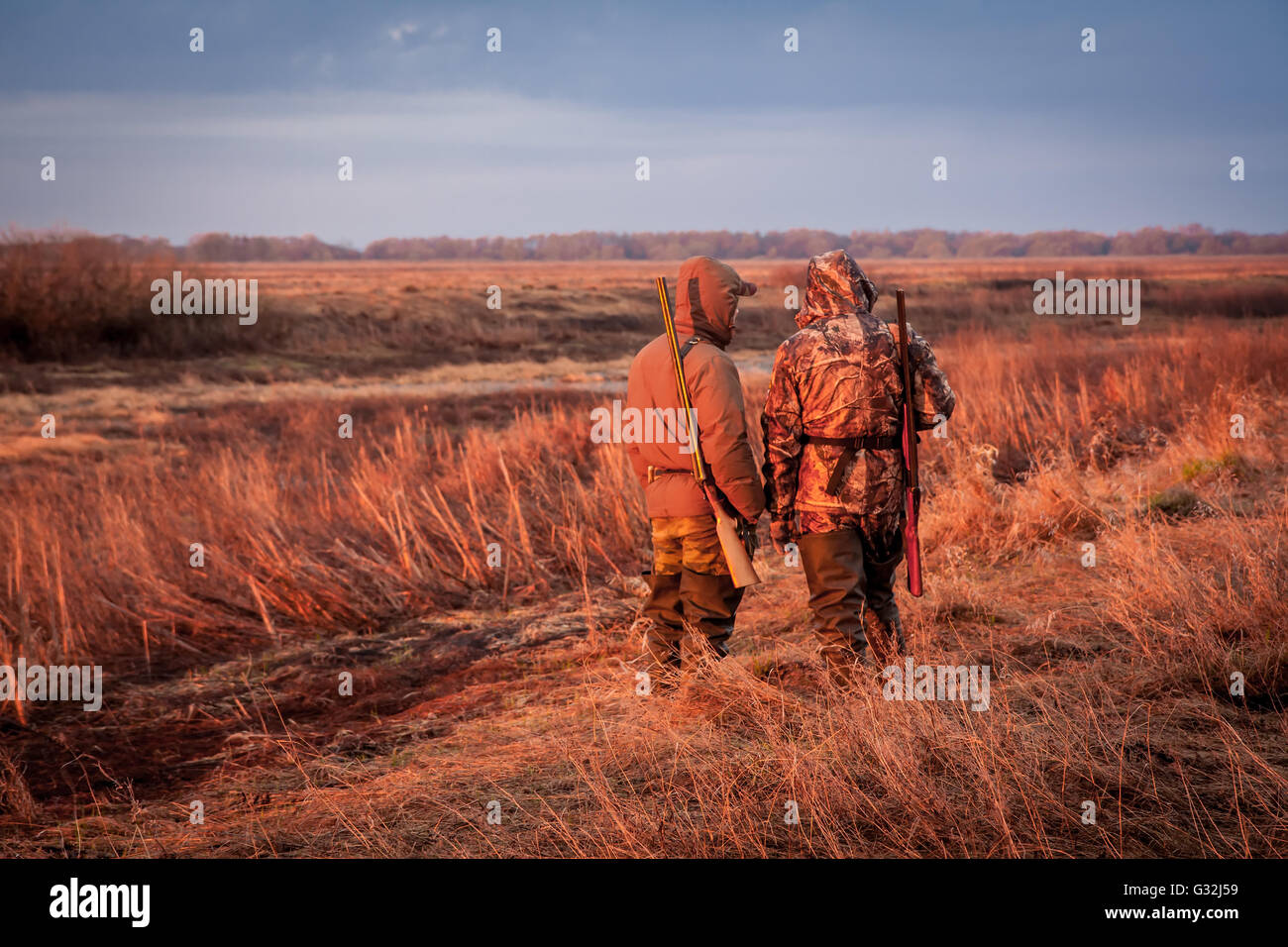Animals out hunting hi-res stock photography and images - Alamy