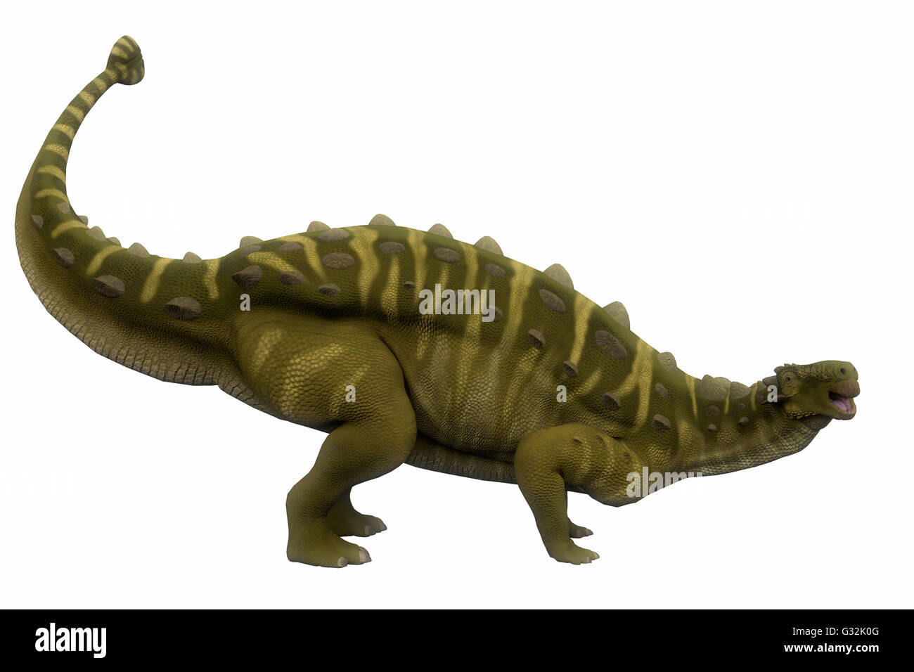Talarurus was a herbivorous armored dinosaur that lived in the ...