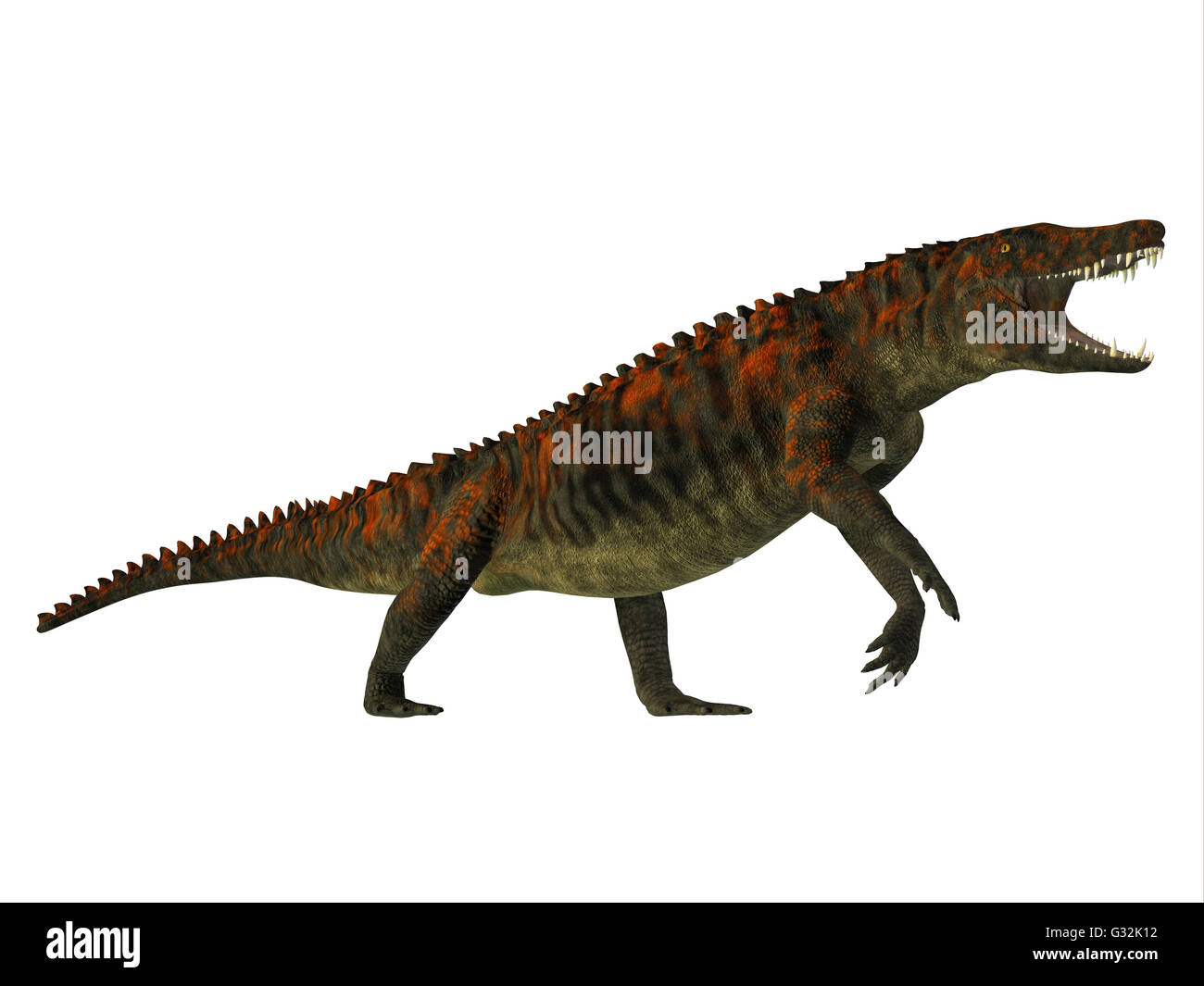 Uberabasuchus was an archosaur carnivorous crocodile that lived in the ...