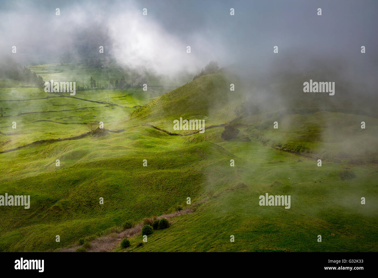 Azores green lush hi-res stock photography and images - Alamy