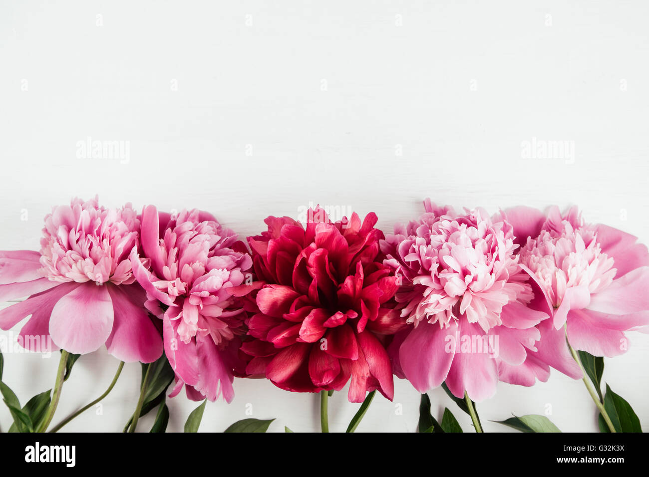 Summer floral background with pink and red peonies Stock Photo - Alamy