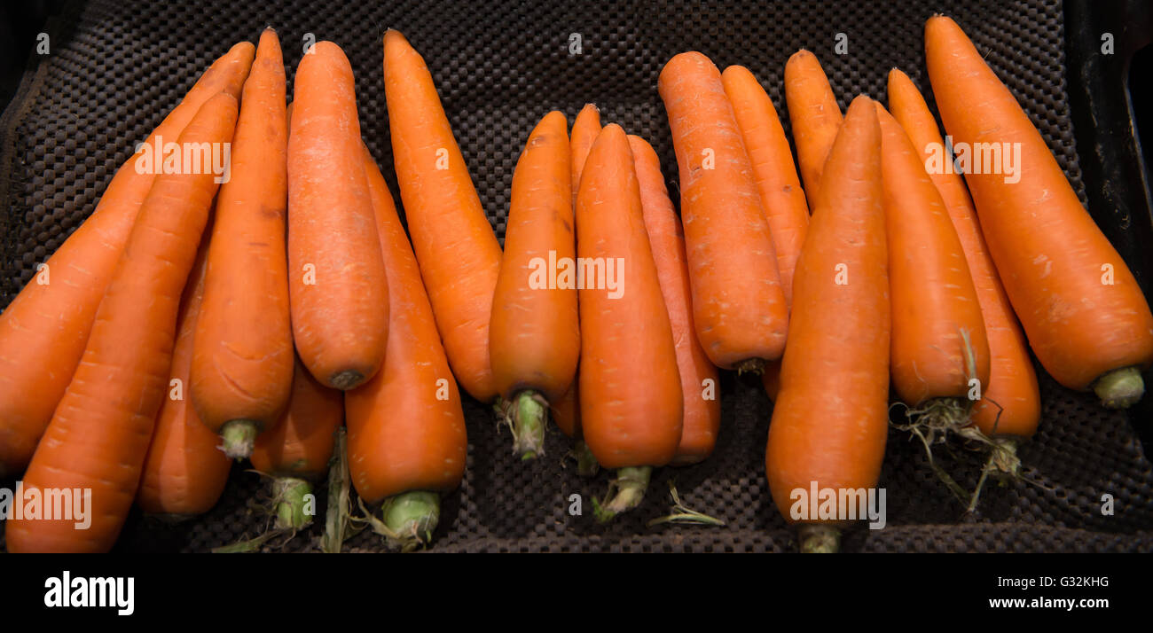 carrots on sale in a supermarket Stock Photo - Alamy