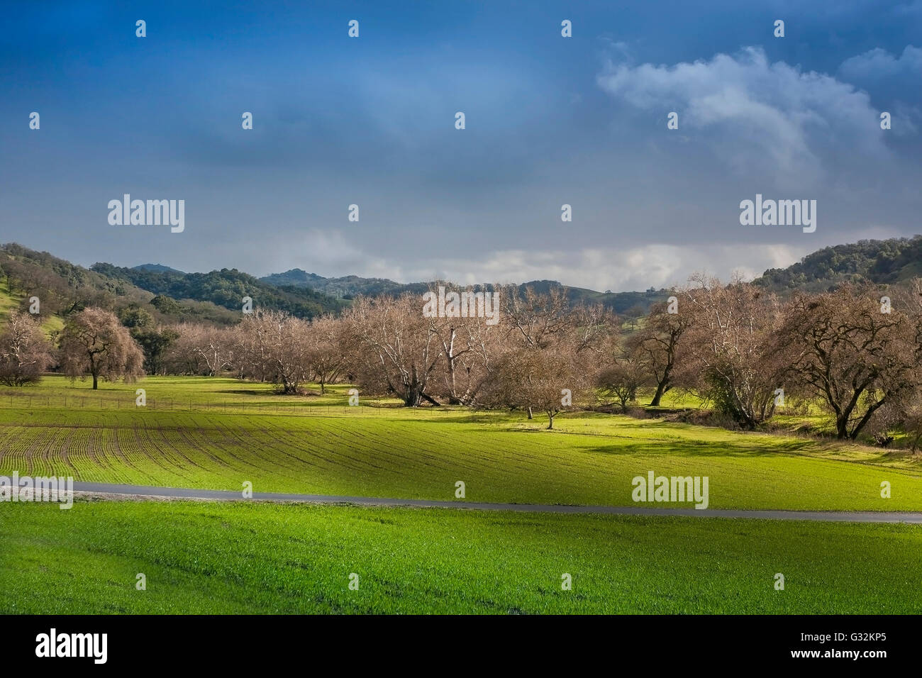 Image of pasture in a rural California community Stock Photo - Alamy