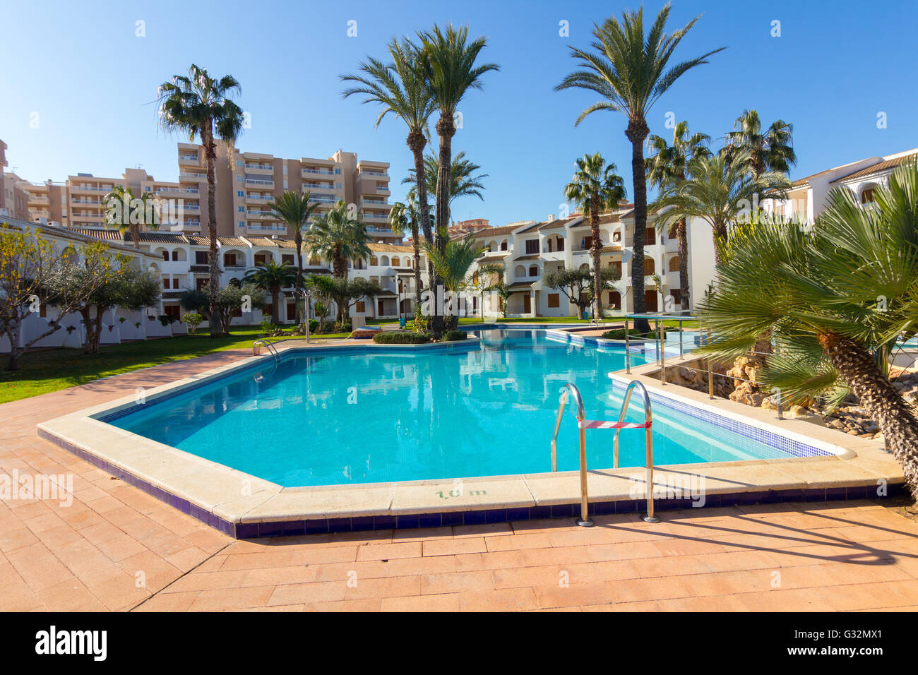 Modern swimming pool in a park with palm trees Stock Photo - Alamy