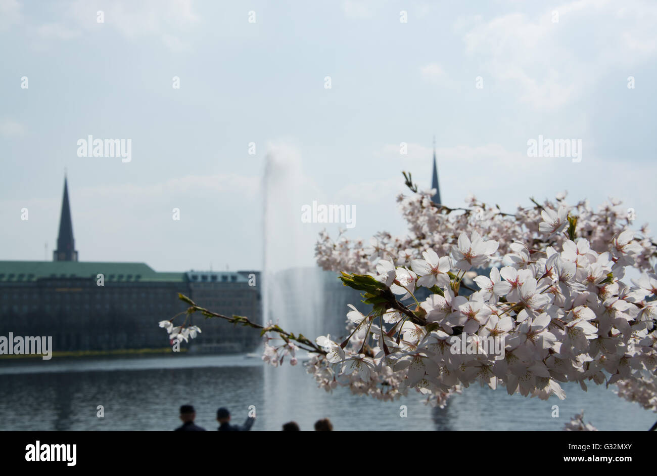 Alster in spring hi-res stock photography and images - Alamy