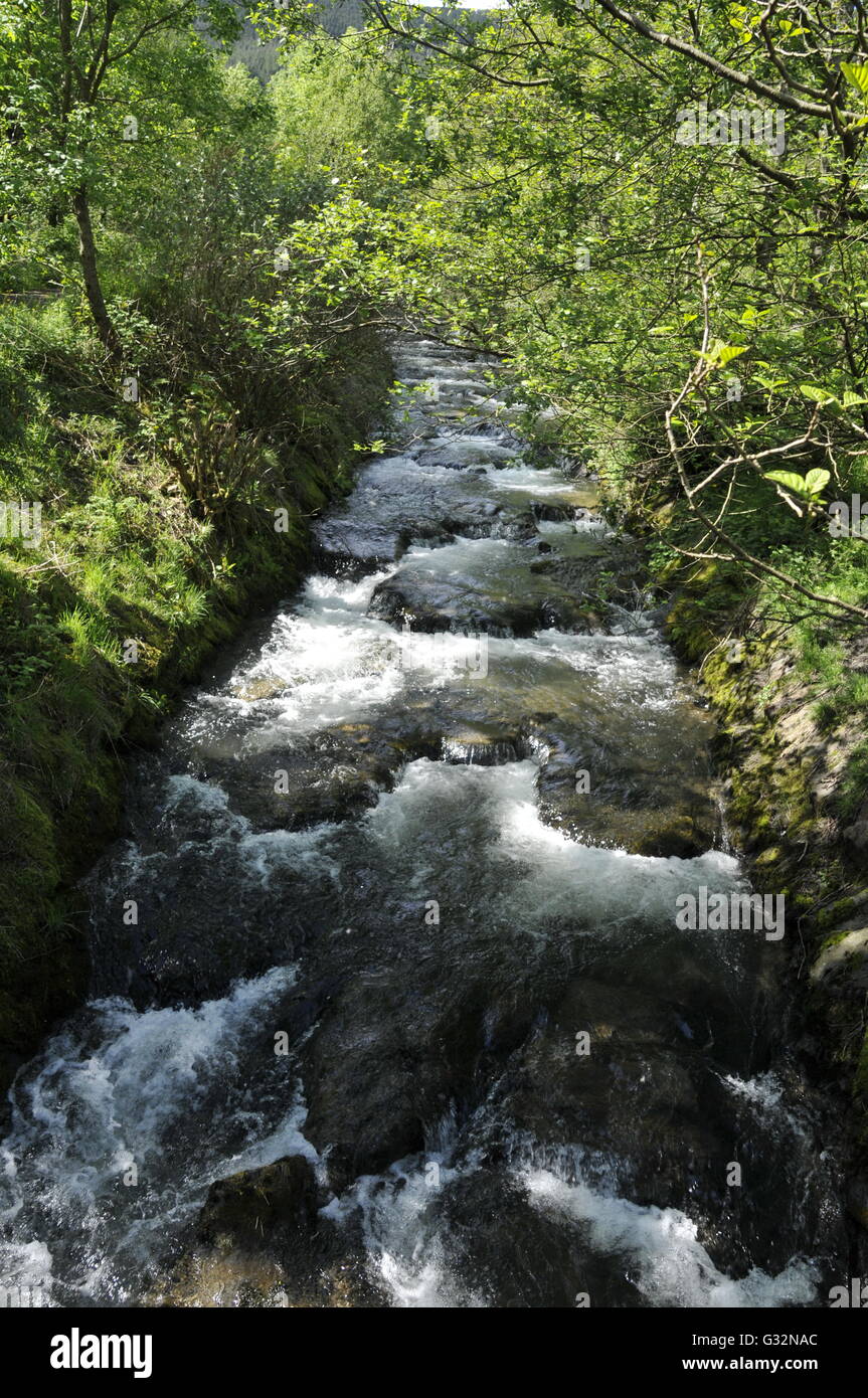 Stream with greenery hi-res stock photography and images - Alamy
