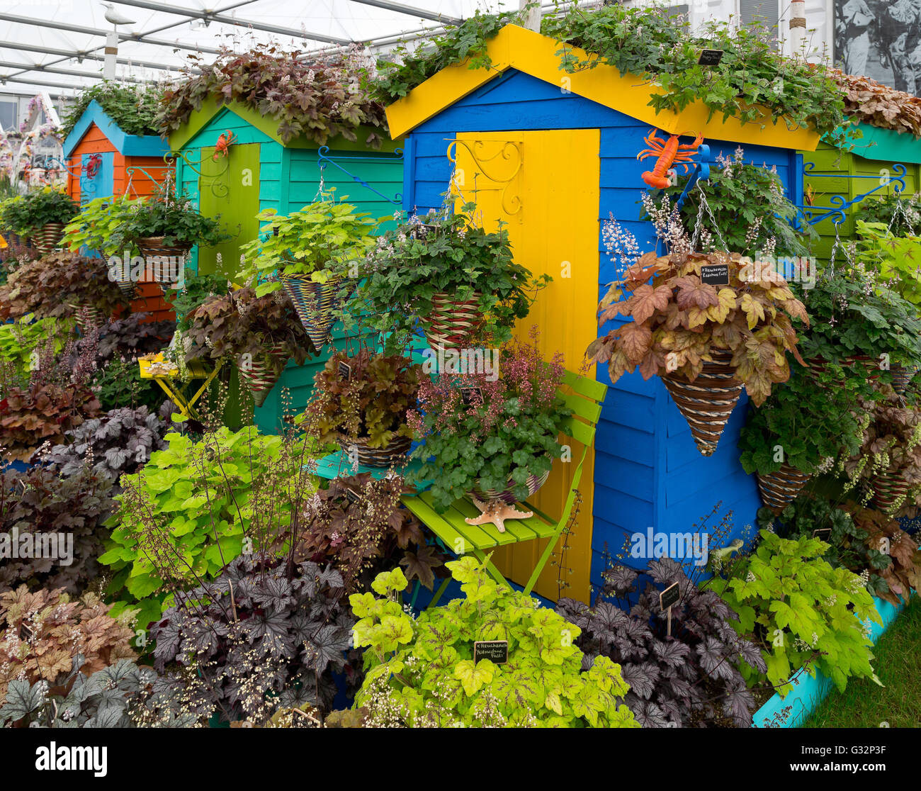 Chelsea flower show pavilion 2016 hi-res stock photography and images ...