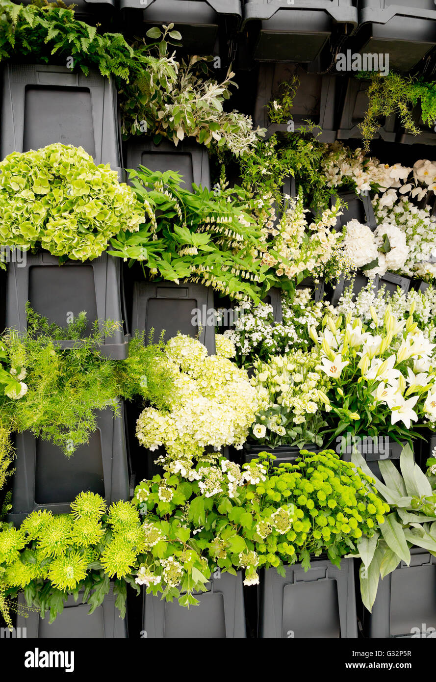 RHS Chelsea Flower Show 2016 Great Pavilion, Behind Every Great Florist ...