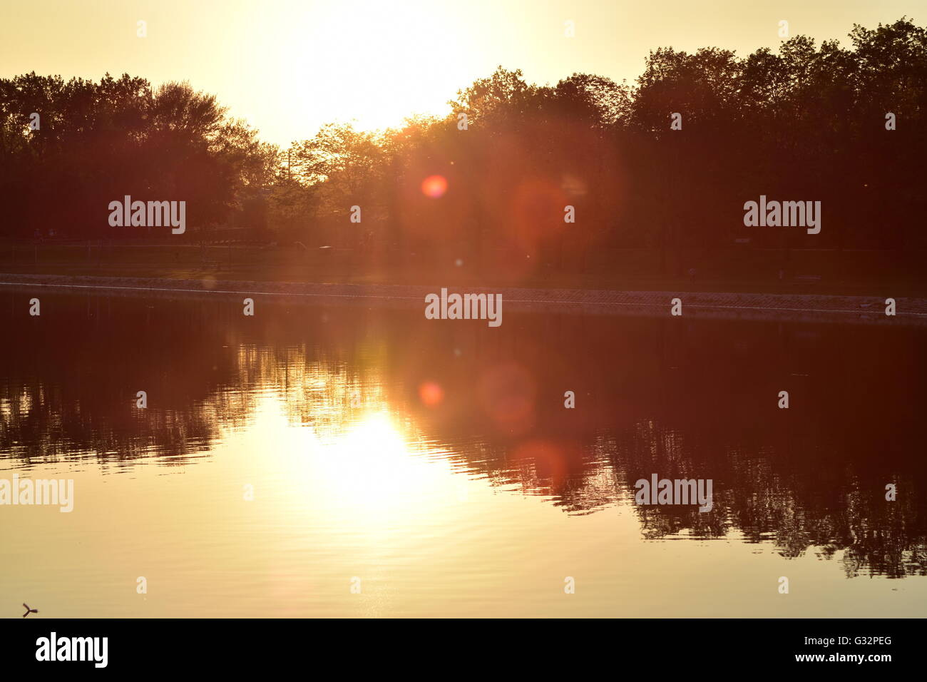 Trees reflection on sunset Stock Photo - Alamy