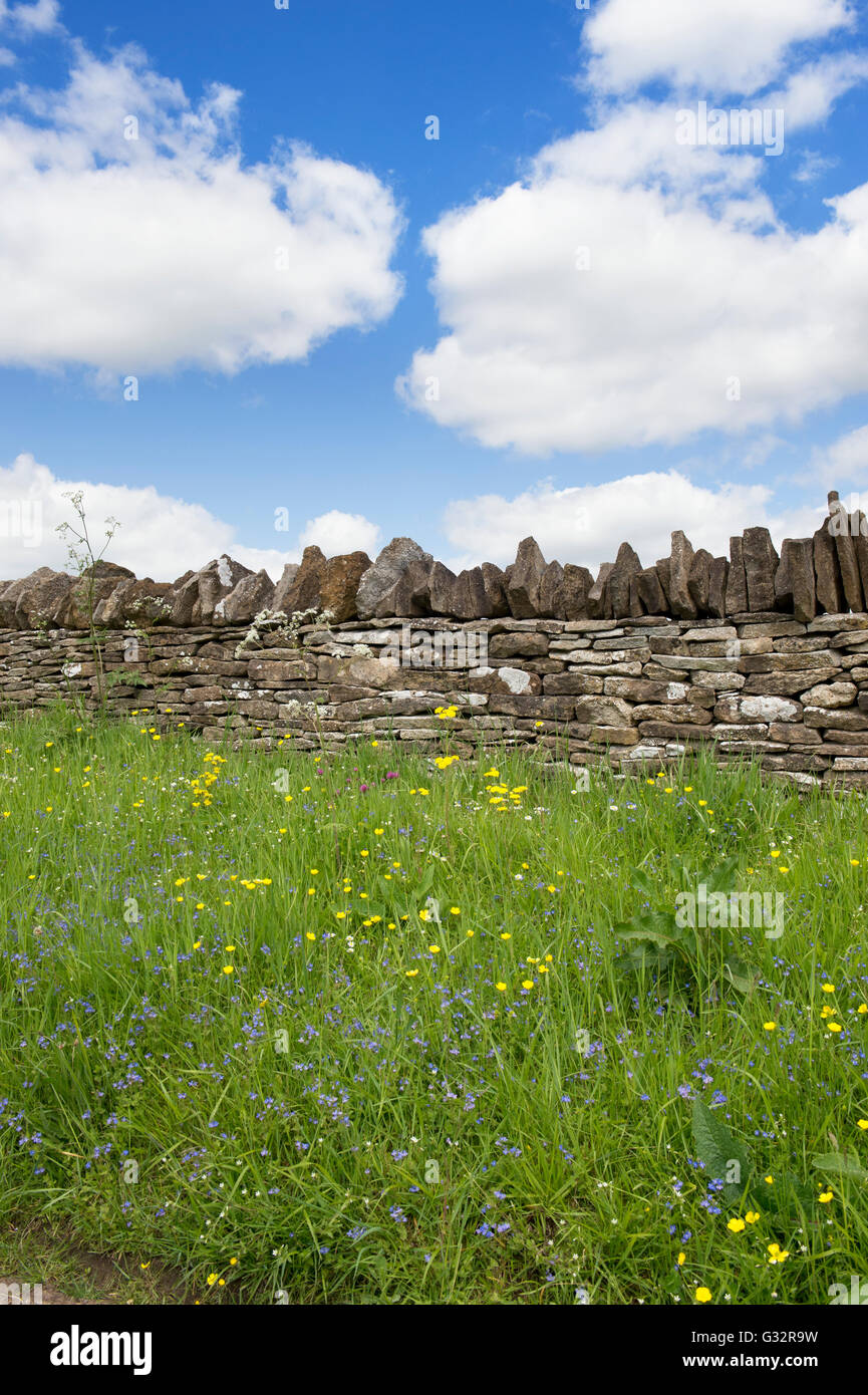 Roadside verge with wildflowers in the Cotswolds. England Stock Photo ...