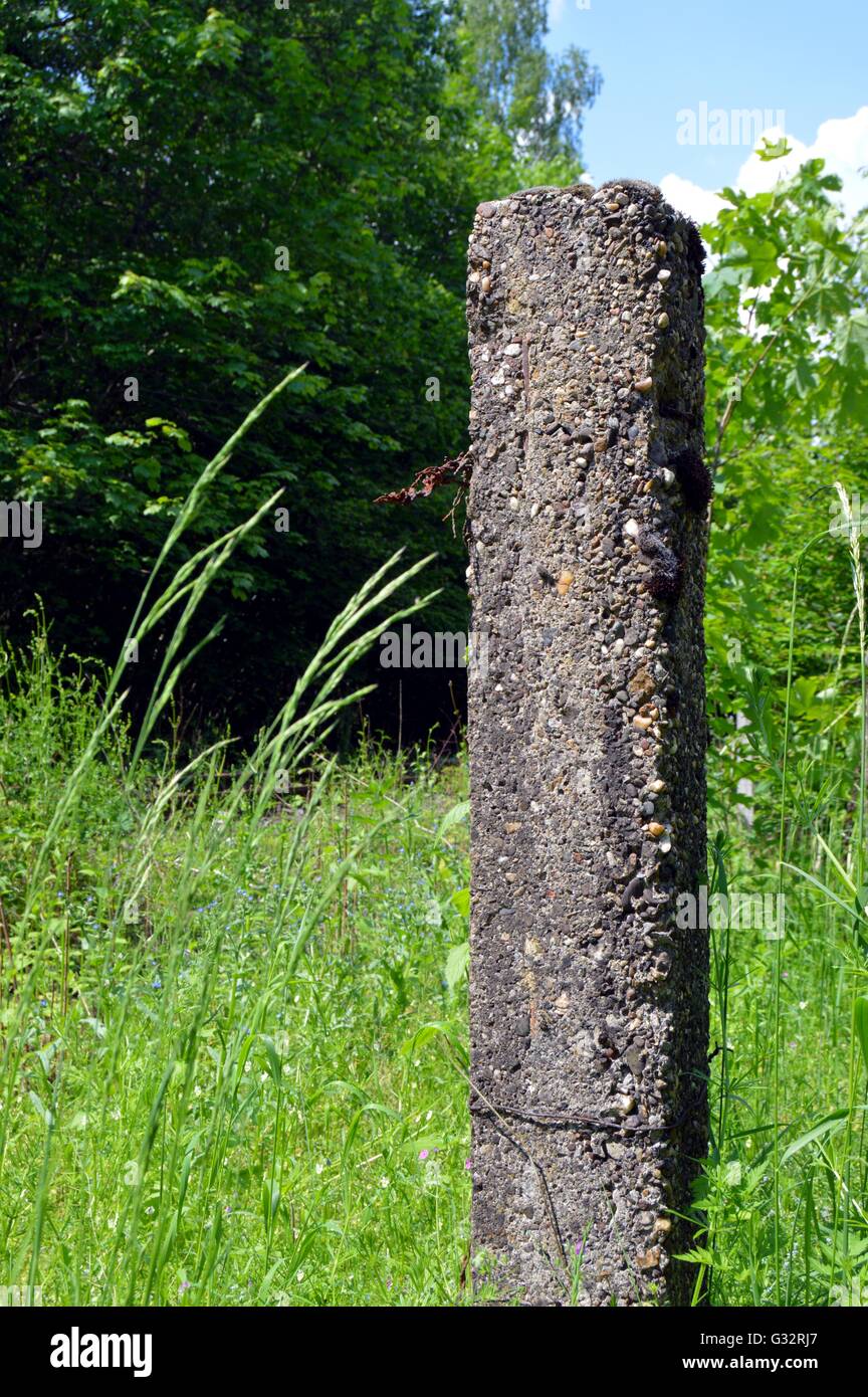 Former concrete fence post in the forest Stock Photo - Alamy