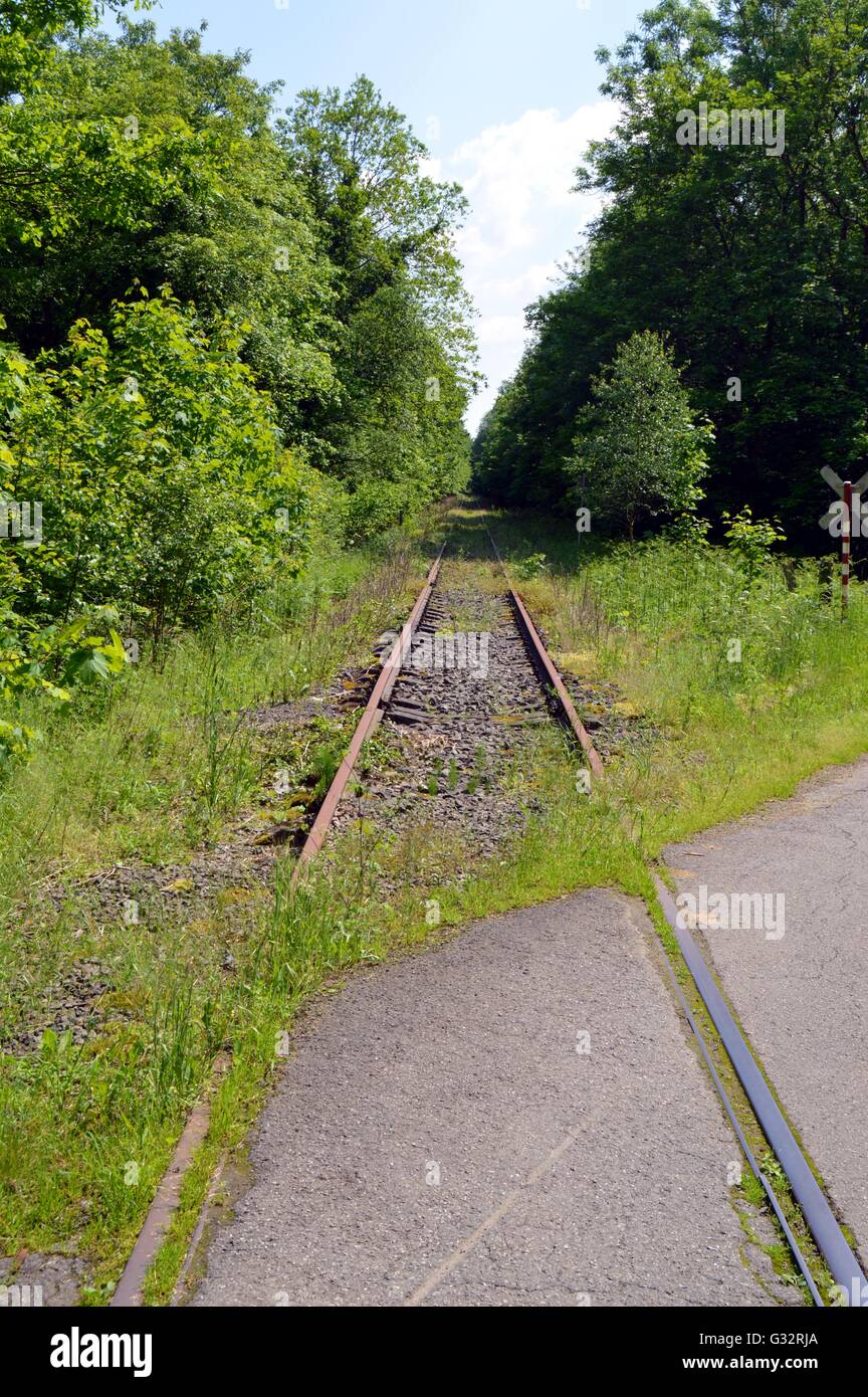 Abandoned railroad track taking off through the forest Stock Photo - Alamy