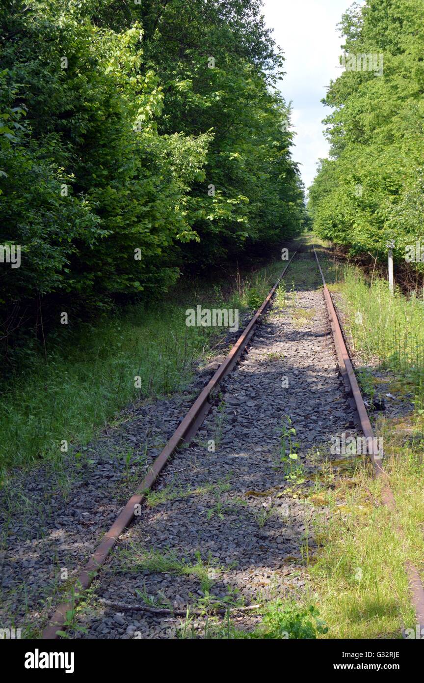 Abandoned railroad track taking off through the forest Stock Photo - Alamy