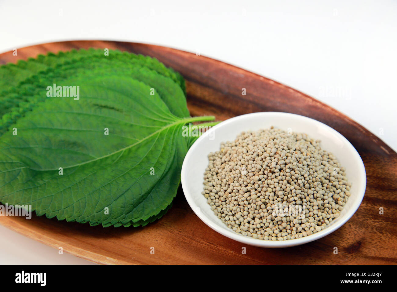 Perilla Frutescens Stock Photos & Perilla Frutescens Stock Images - Alamy