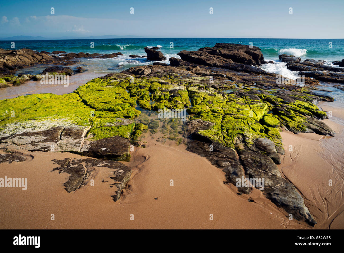 Moss covered rocks in sea hi-res stock photography and images - Alamy