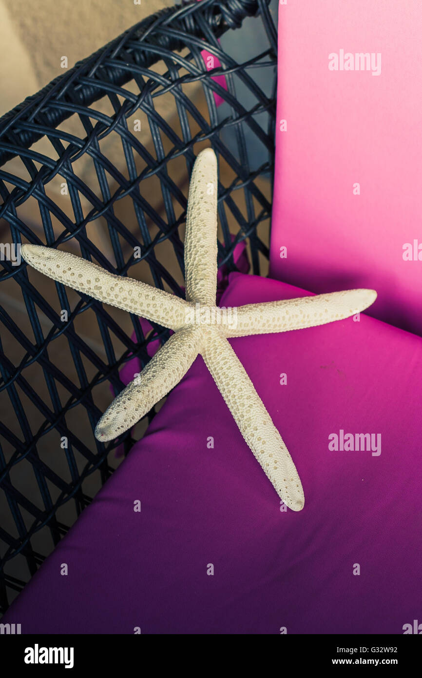 Starfish on chair Stock Photo - Alamy