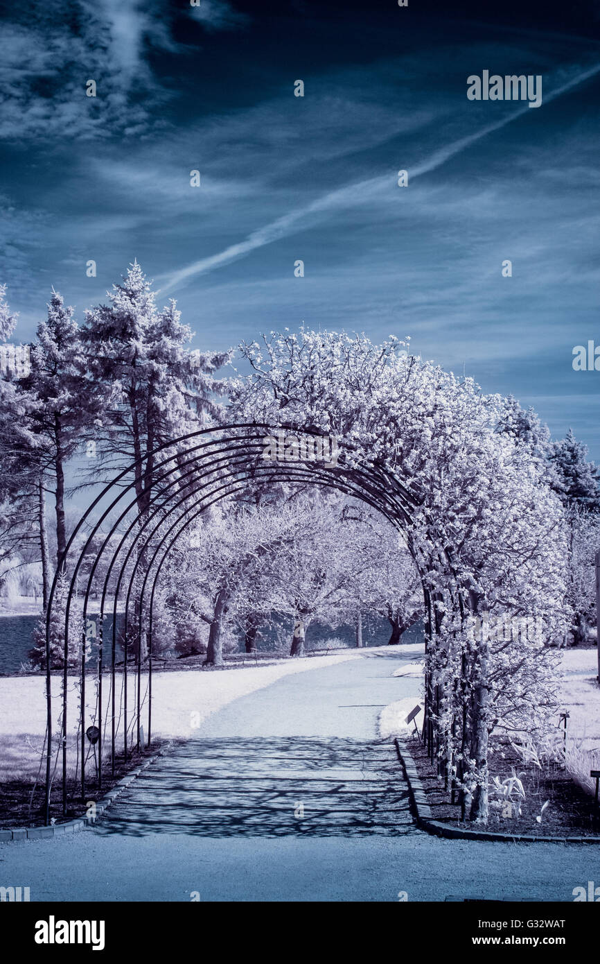 Snow covered gate, Botanical Gardens, Chicago, Illinois, United States ...