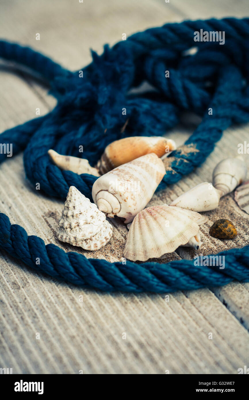 Rope and sea shells on wooden decking Stock Photo - Alamy