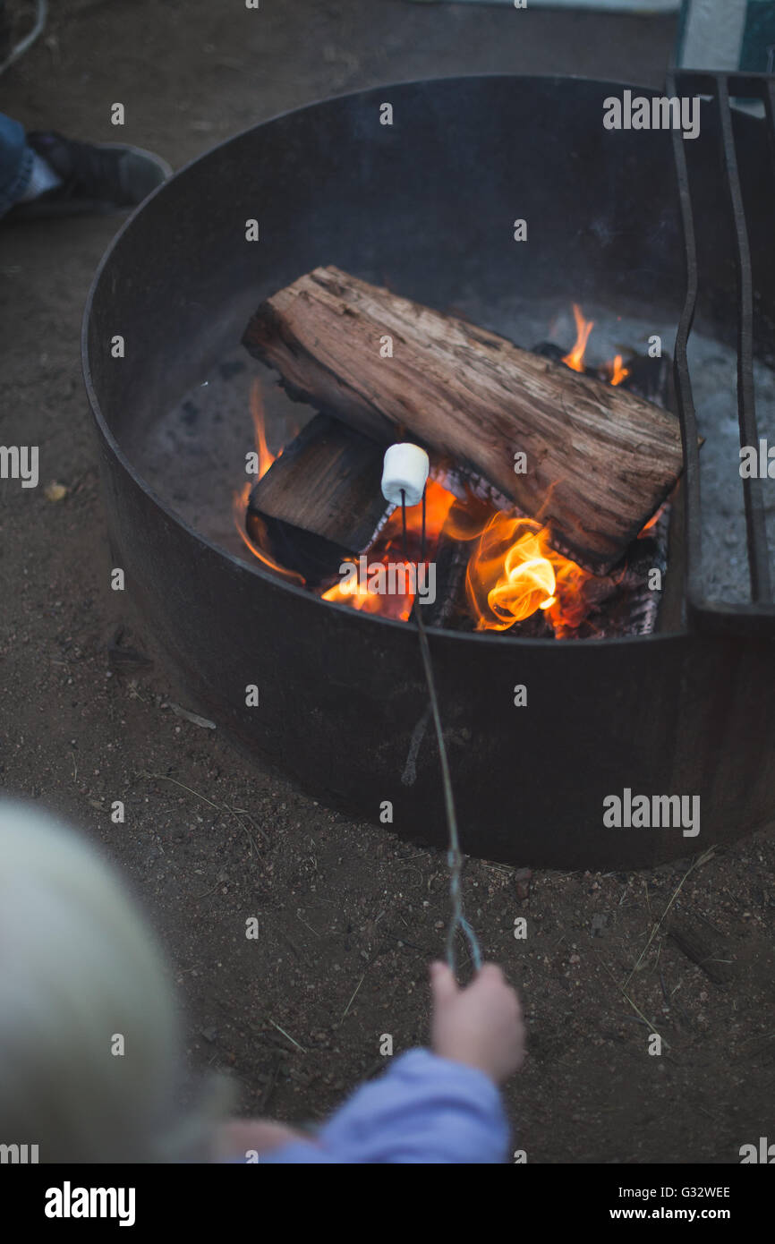 Girl toasting a marshmallow over campfire Stock Photo - Alamy
