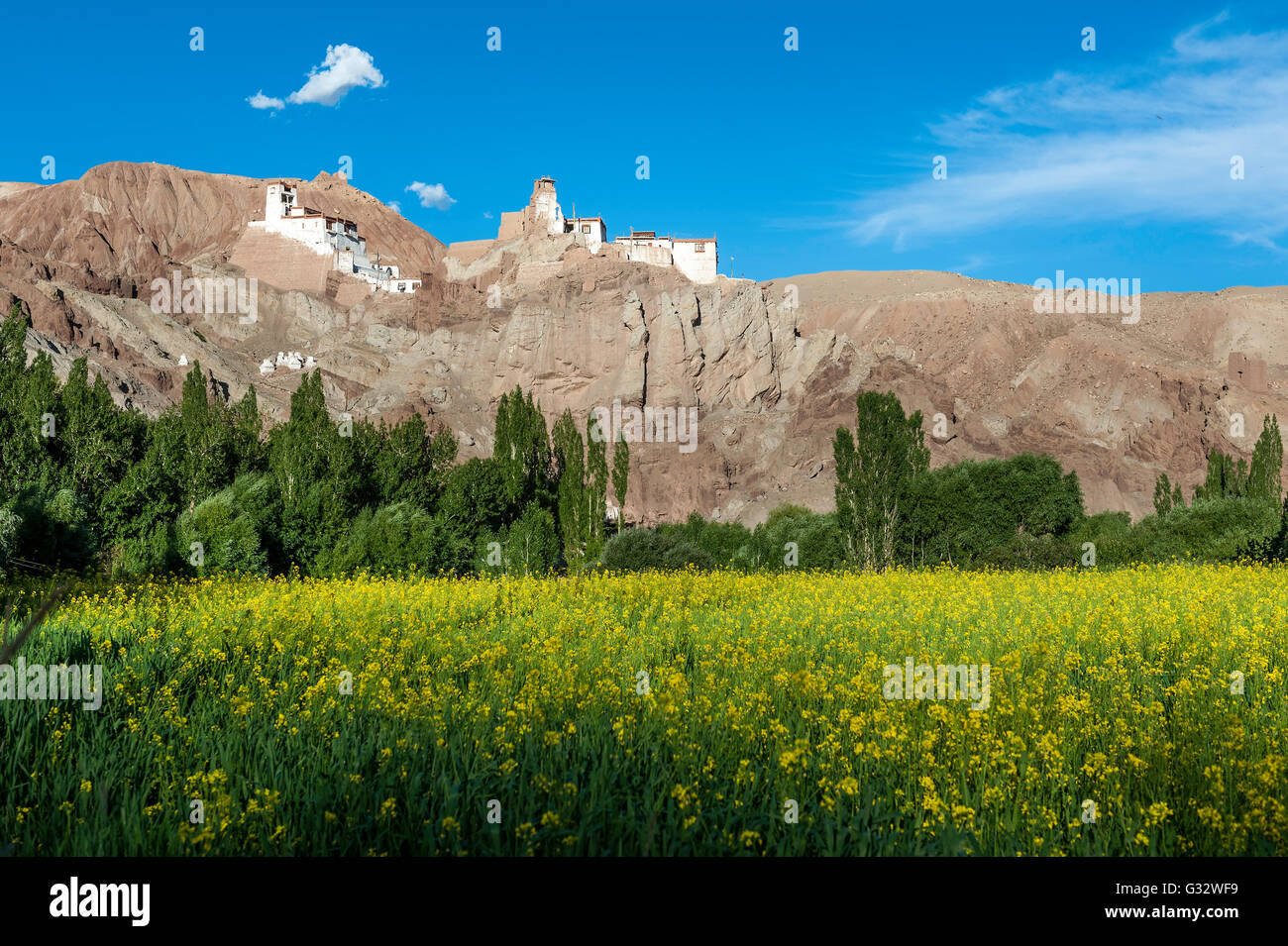 Basgo monastery ladakh hi-res stock photography and images - Alamy