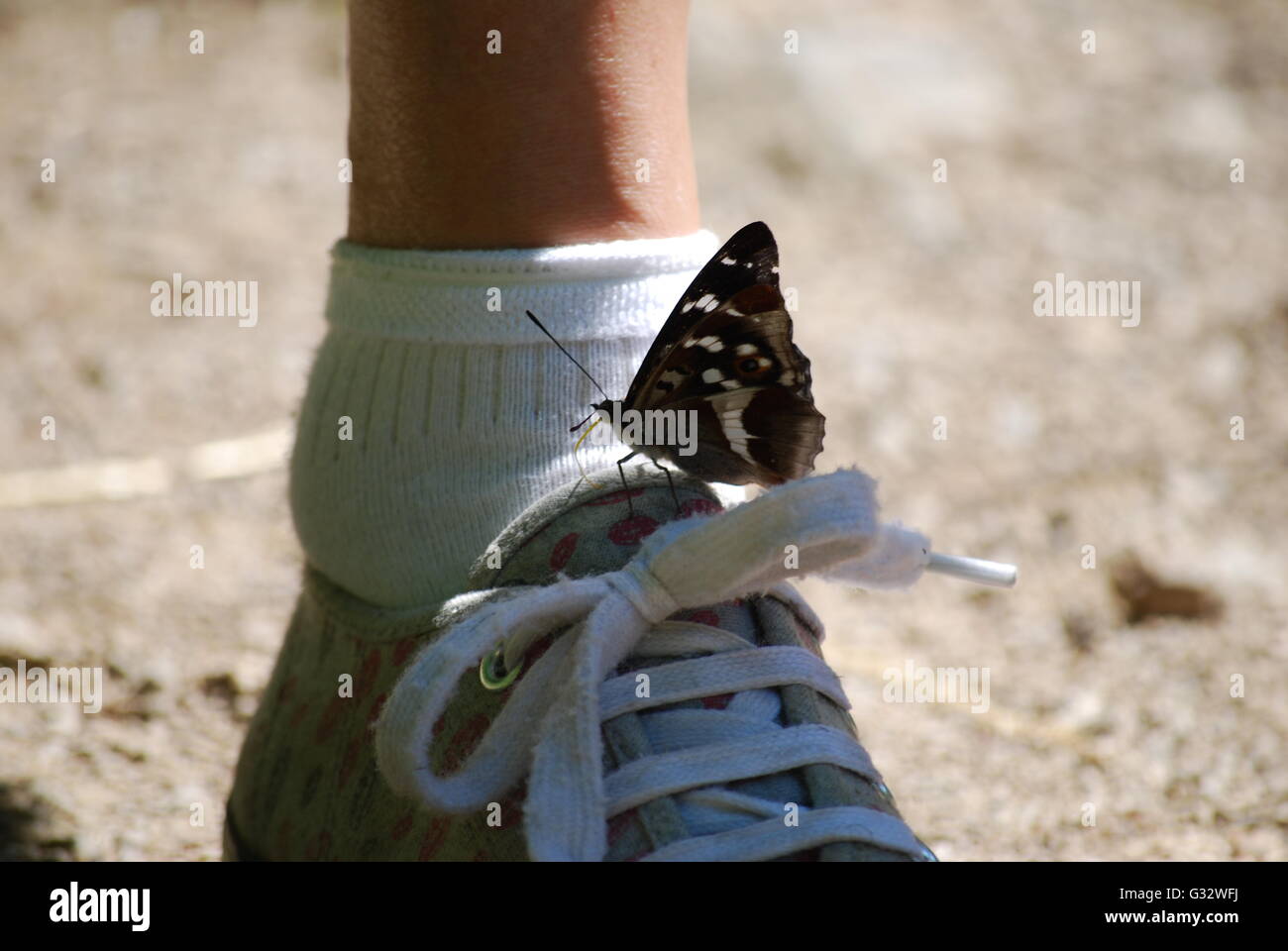 On foot horizontal hi-res stock photography and images - Alamy
