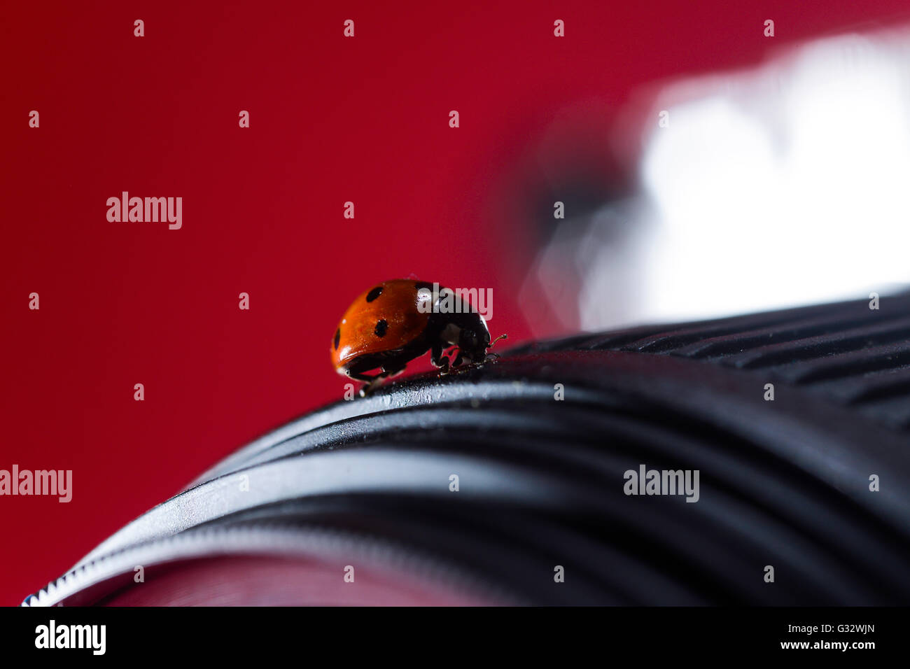 Ladybug lens hi-res stock photography and images - Alamy