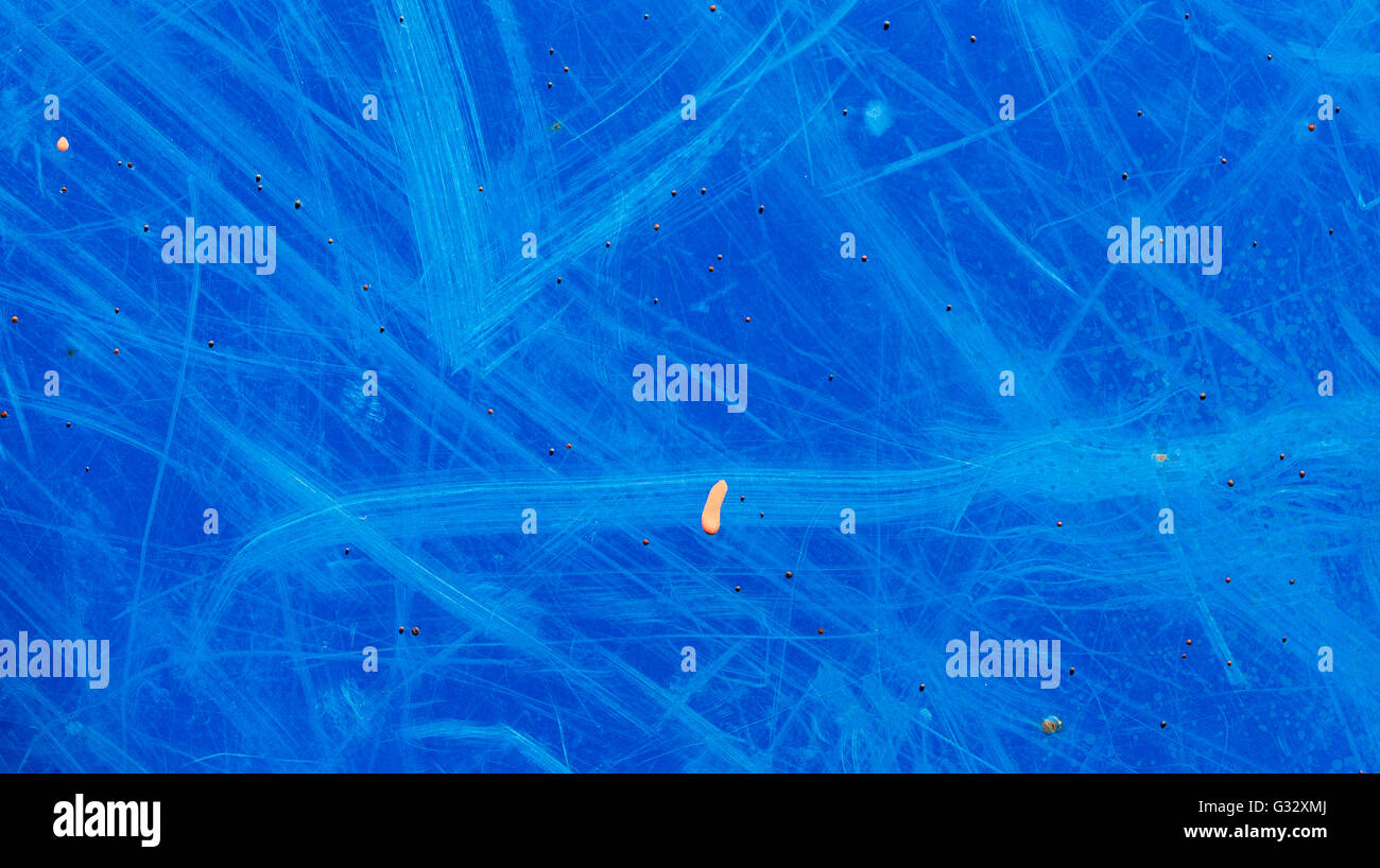 a detail image of random scratches on a blue metal panel Stock Photo ...